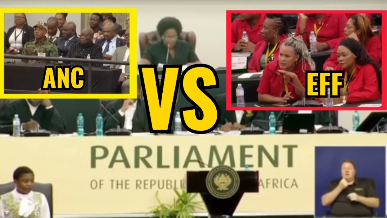 CHAOS! EFF Members VS ANC Members In Parliament - Zuma Is A Former ...