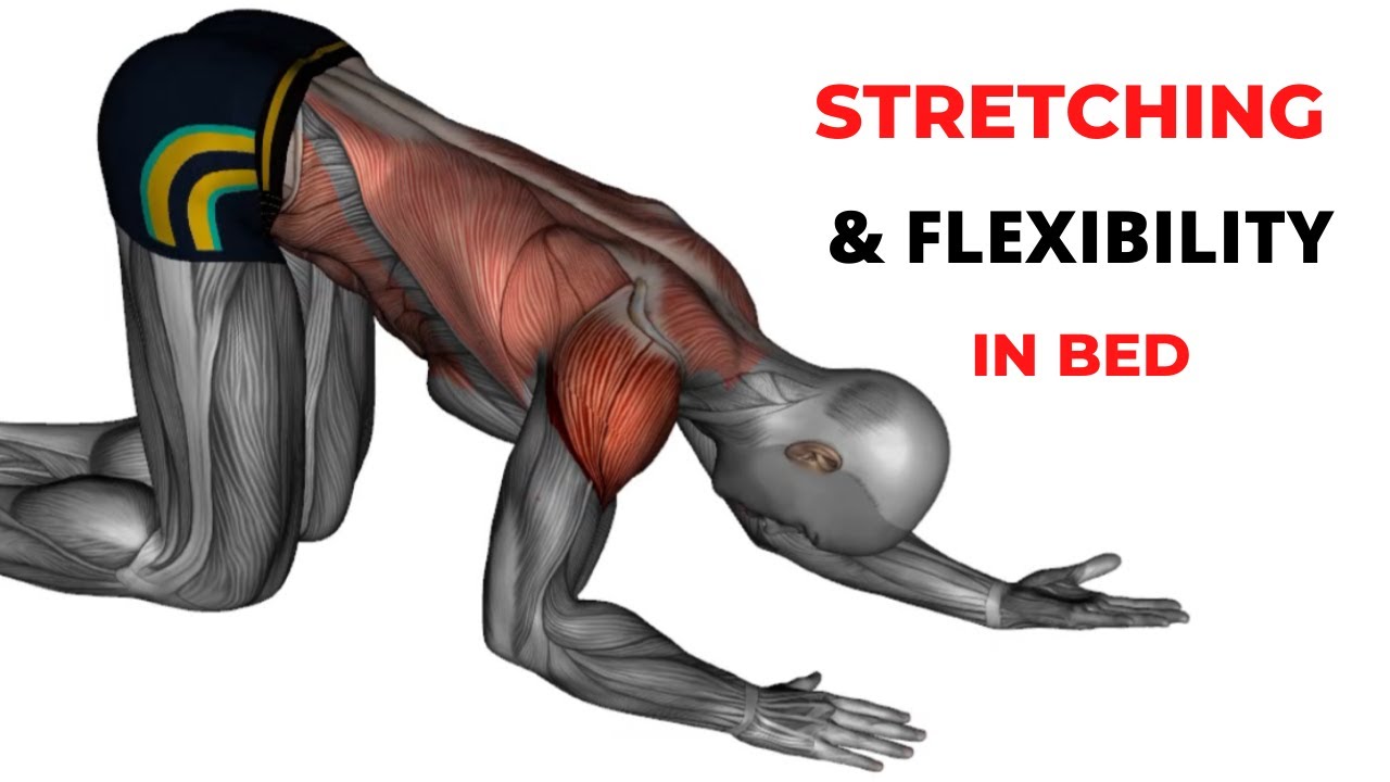 Stretches In Bed That Will Help You Sleep Like A Baby - Night Stretch ...
