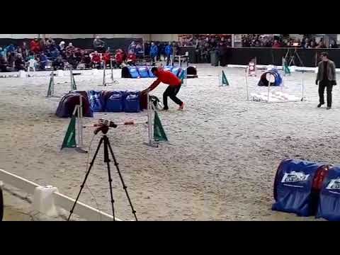 IFCS 2019 VICTOR LUA - YouTube