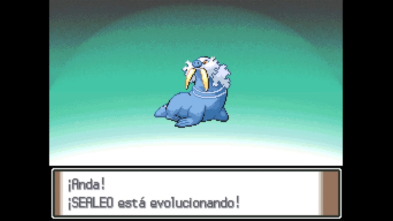 Evolución de SEALEO - YouTube