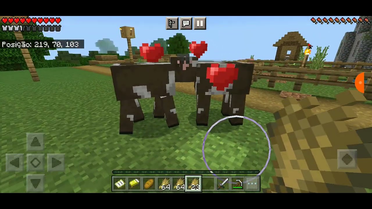 Minecraft Sur vival - YouTube