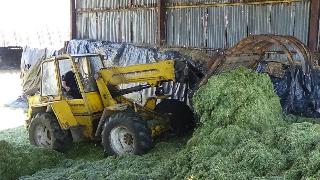 Silage 2021 - Buckraking the Clamp with Classic Matbro Teleram & Massey ...