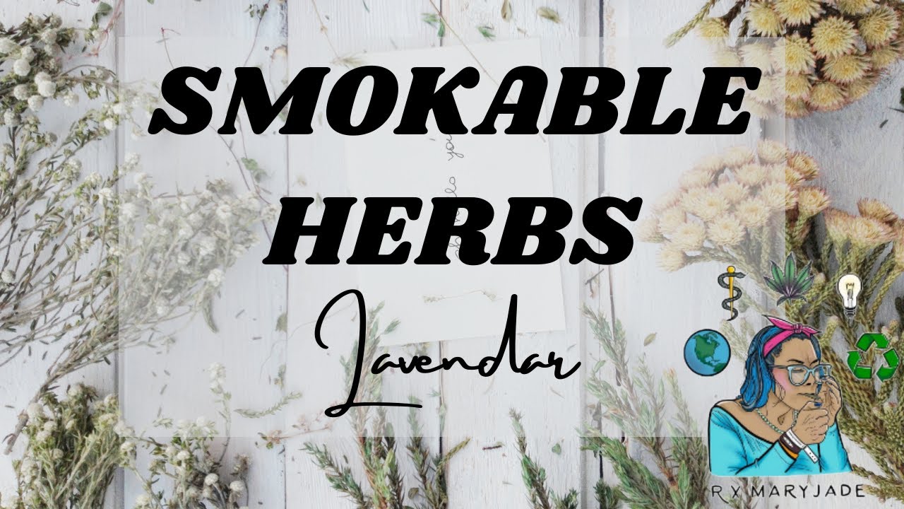 How To Smoke Lavender Taste & Feel || A Beginners Guide To Smokable ...