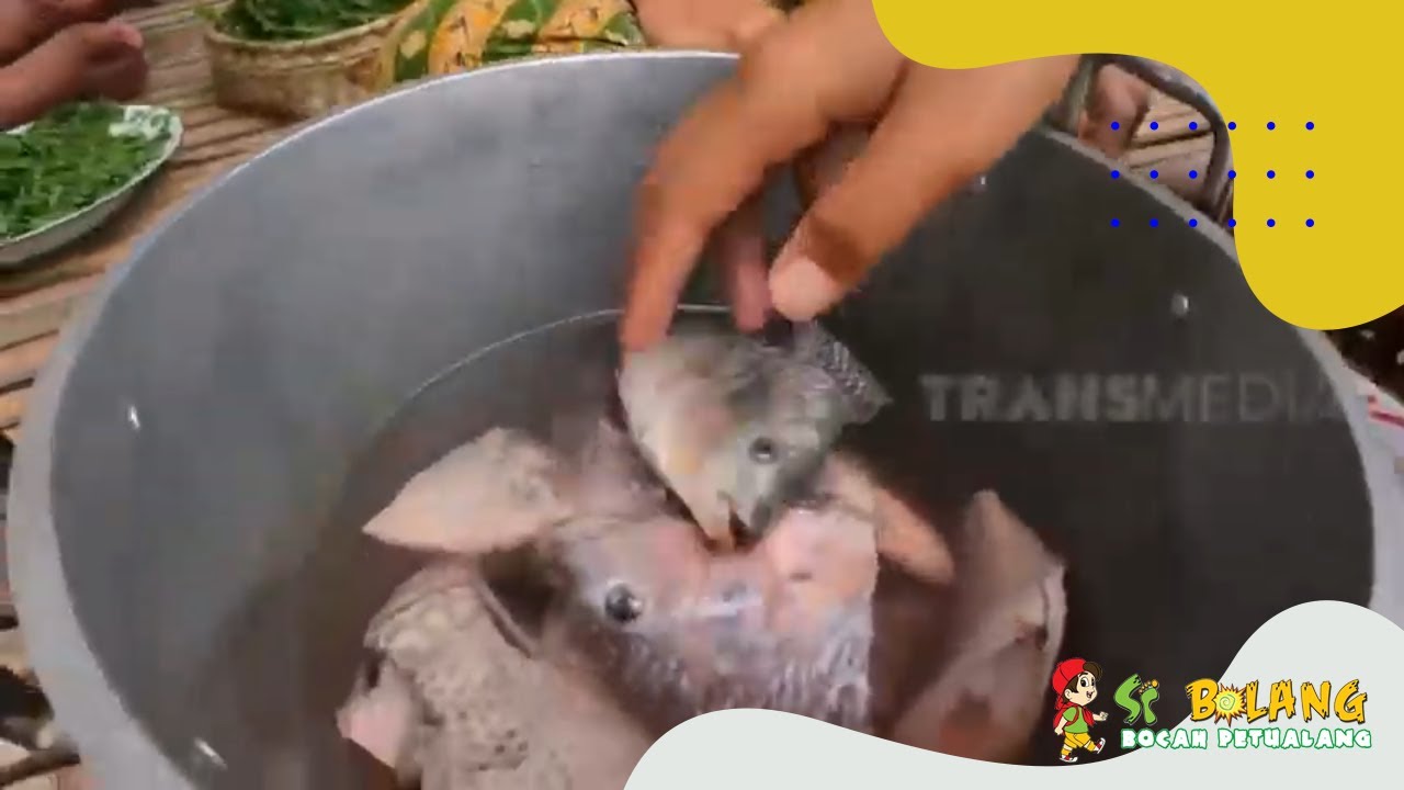 Memasak Nasu Cemba | SI BOLANG (31/10/22) - YouTube