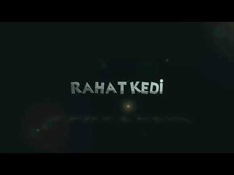 En rahat latici video #2 rahat kedi