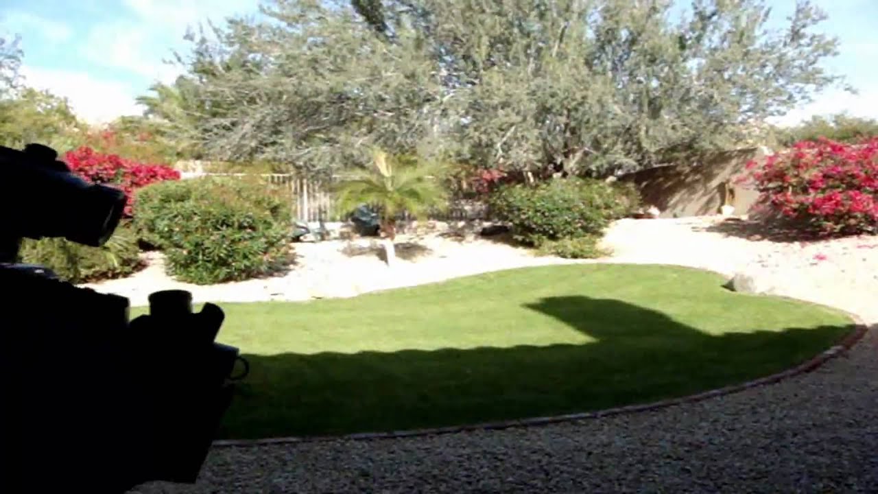 Crosman Pulse R71 Shooting Test - YouTube