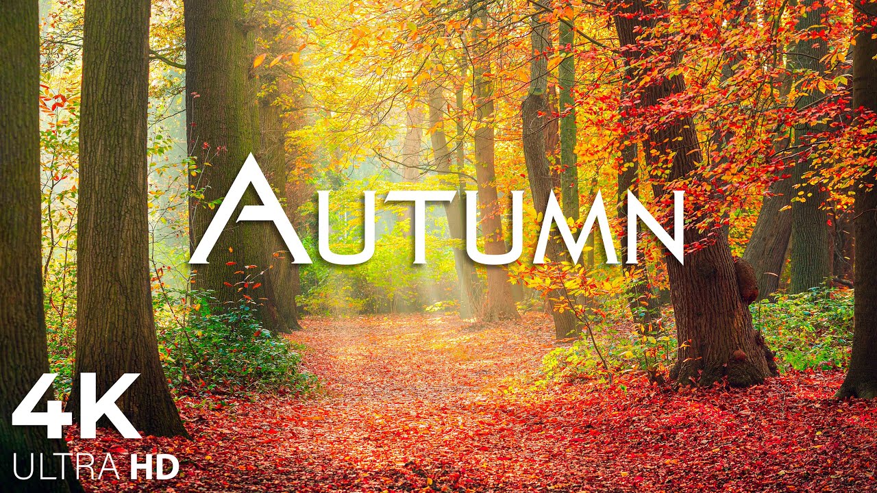 Autumn Fall Scenery, Peaceful Hymn piano Music, "Golden Autumn Morning ...
