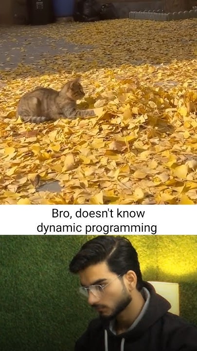 Tell bro, what is dynamic programming 😃 #codingmemes #memes #programming #programmer - YouTube