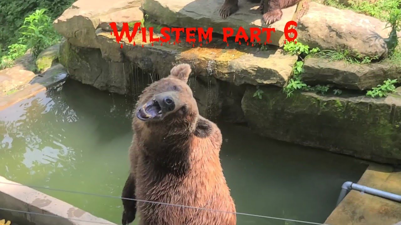 Wilstem wildlife ranch part 6 - YouTube