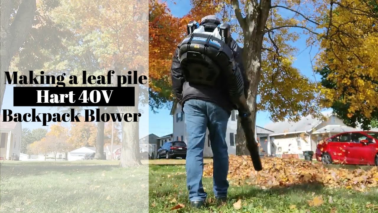 Making a leaf pile with Hart 40 volt Backpack Leaf Blower - YouTube