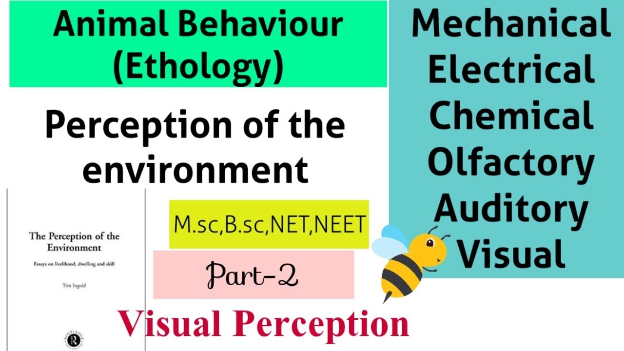 2)Ethology-Perception of the environment|Visual Perception|Vision|M.sc ...