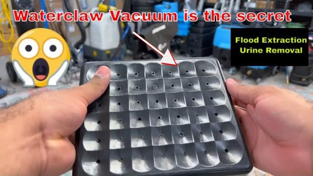 Water Claw for flood extraction or urine removal from carpet & pad ...