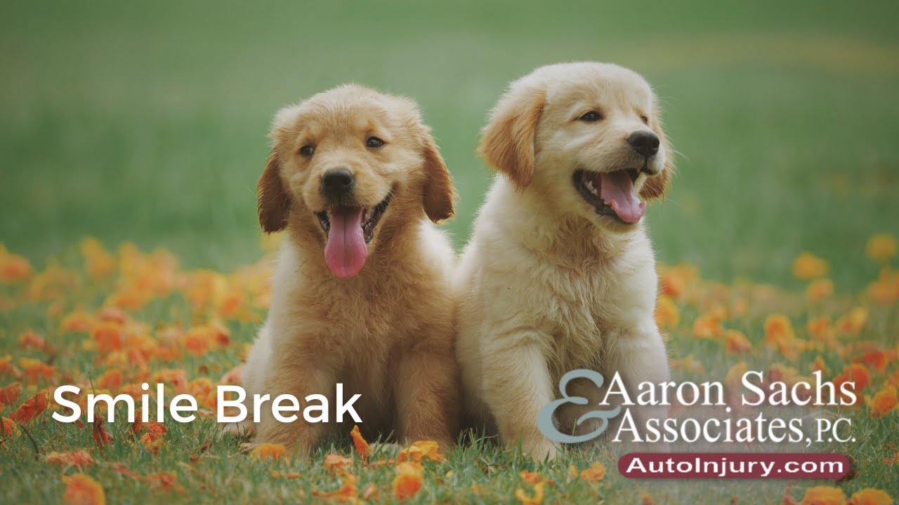 Smile Break | Aaron Sachs & Associates, P.C. - YouTube