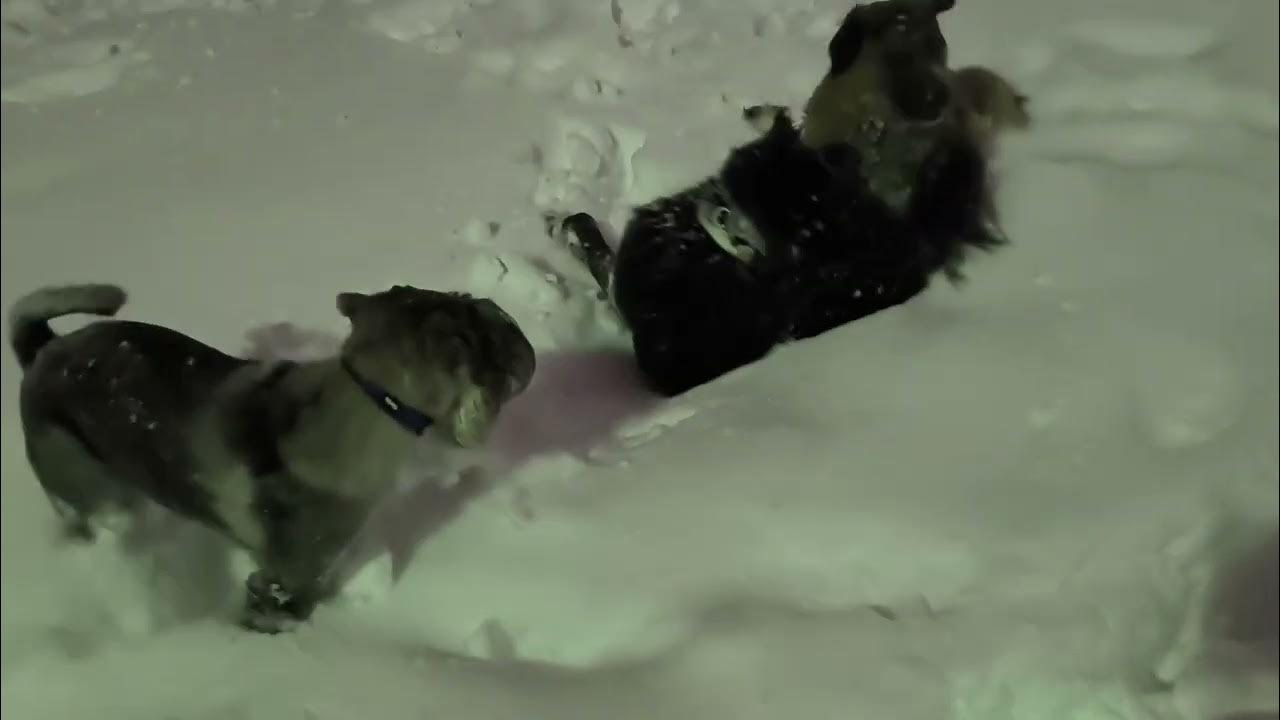 Its snow time - YouTube