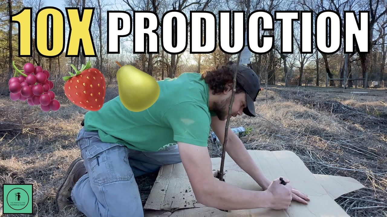 Quick and Easy Permaculture Fruit Tree Guild from Tractor Supply! - YouTube