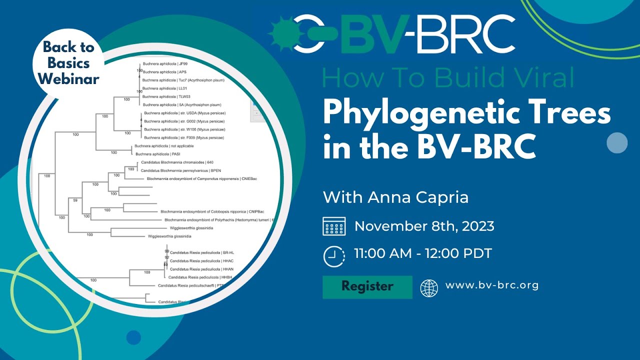 BV-BRC Viral Back to Basics: How to Build Viral Phylogenetic Trees. - YouTube
