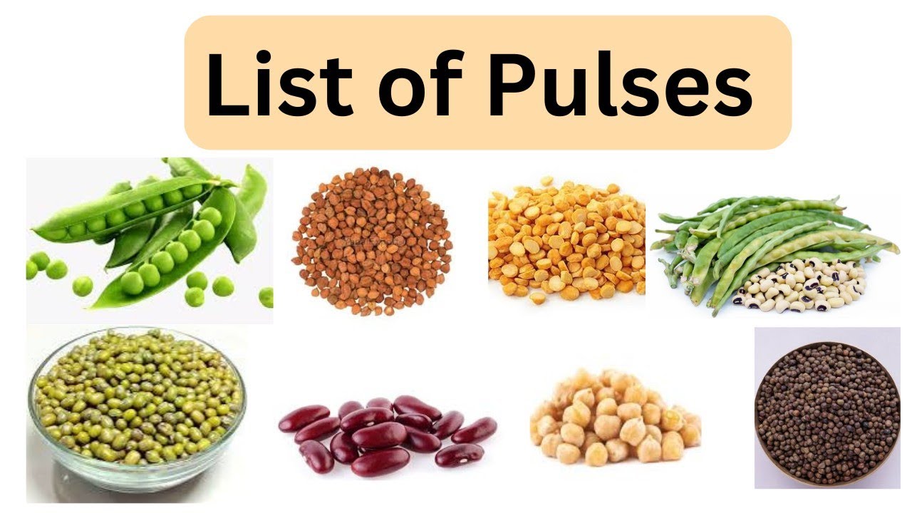 Pulses Names in English || List of Pulses @LearnwithSmaranika - YouTube