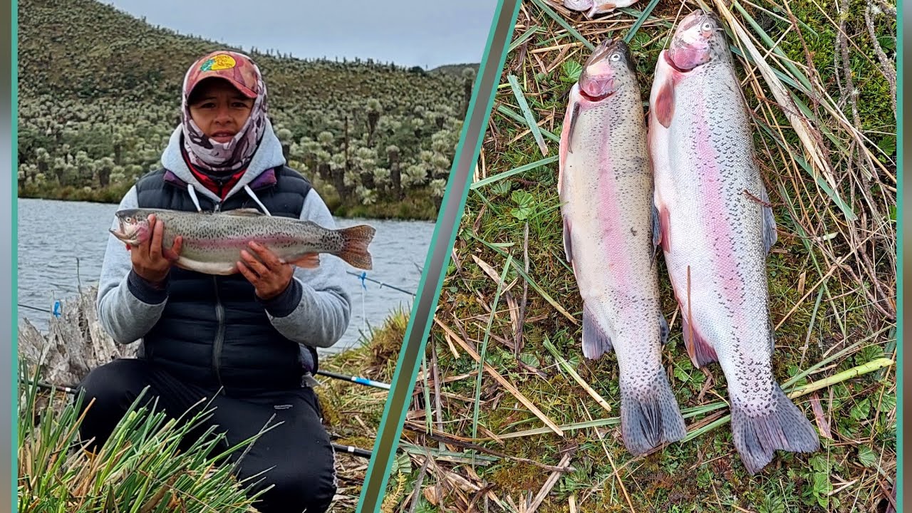 Pesca de truchas en Laguna del Páramo. - YouTube