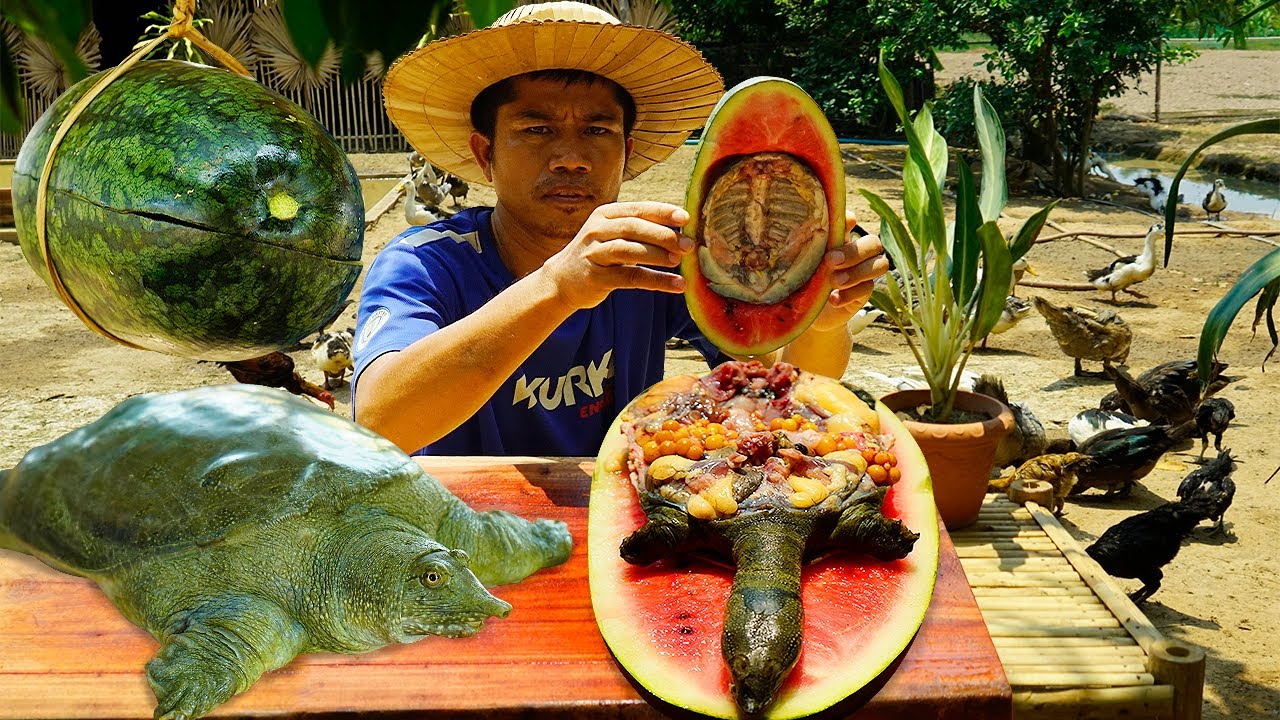 Water Melon Softshell Turtle Steamed | Cooking Softshell Turtle In Water Melon - YouTube