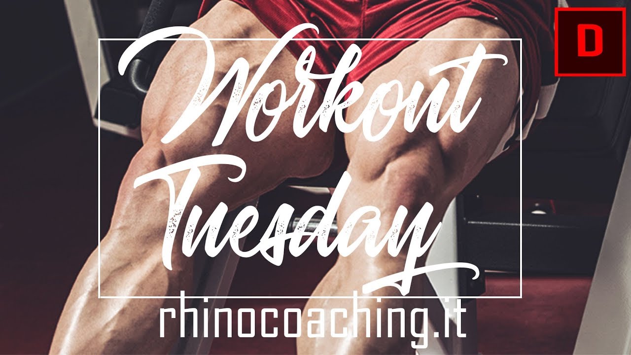 Workout Tuesday #22 | Quad Week - YouTube