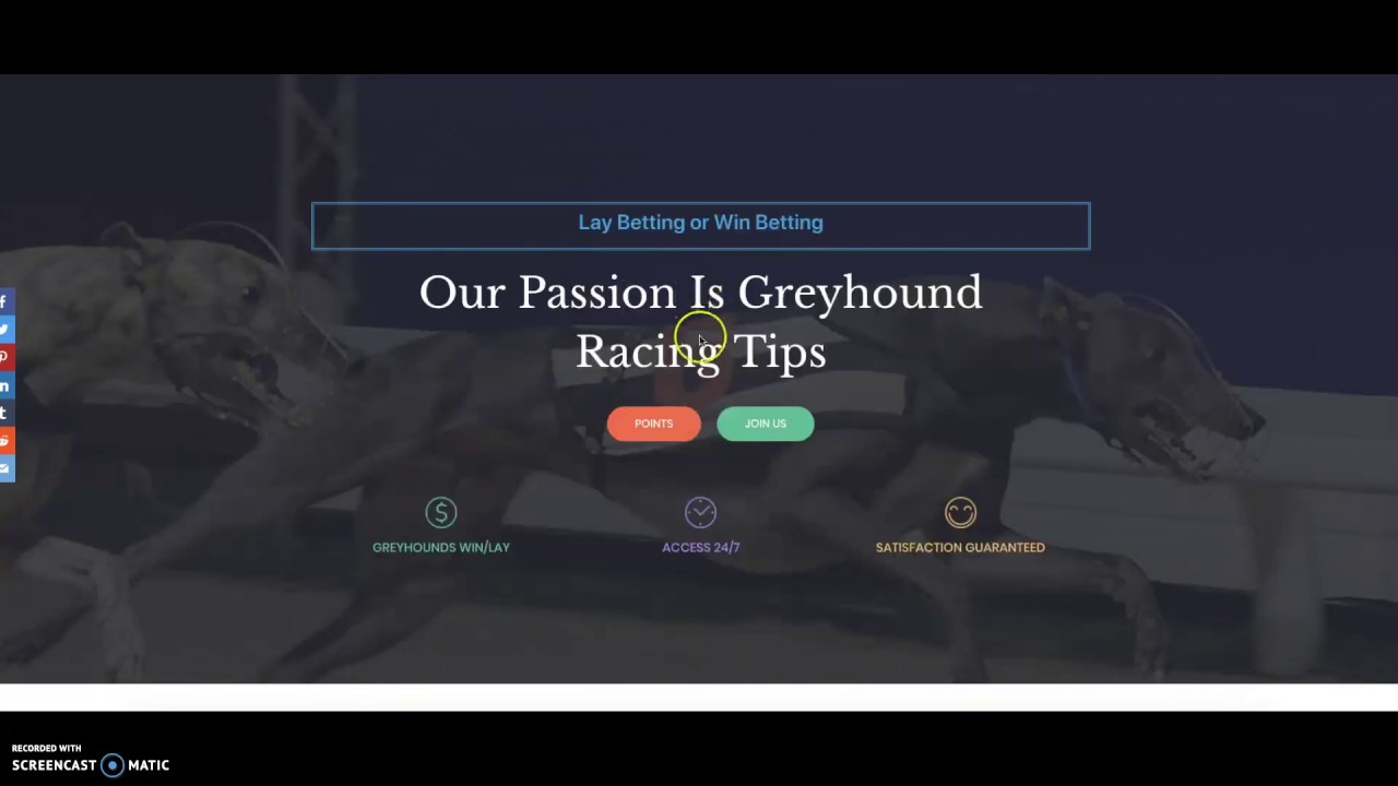 How To Select Greyhounds To Lay Using My Points System - YouTube