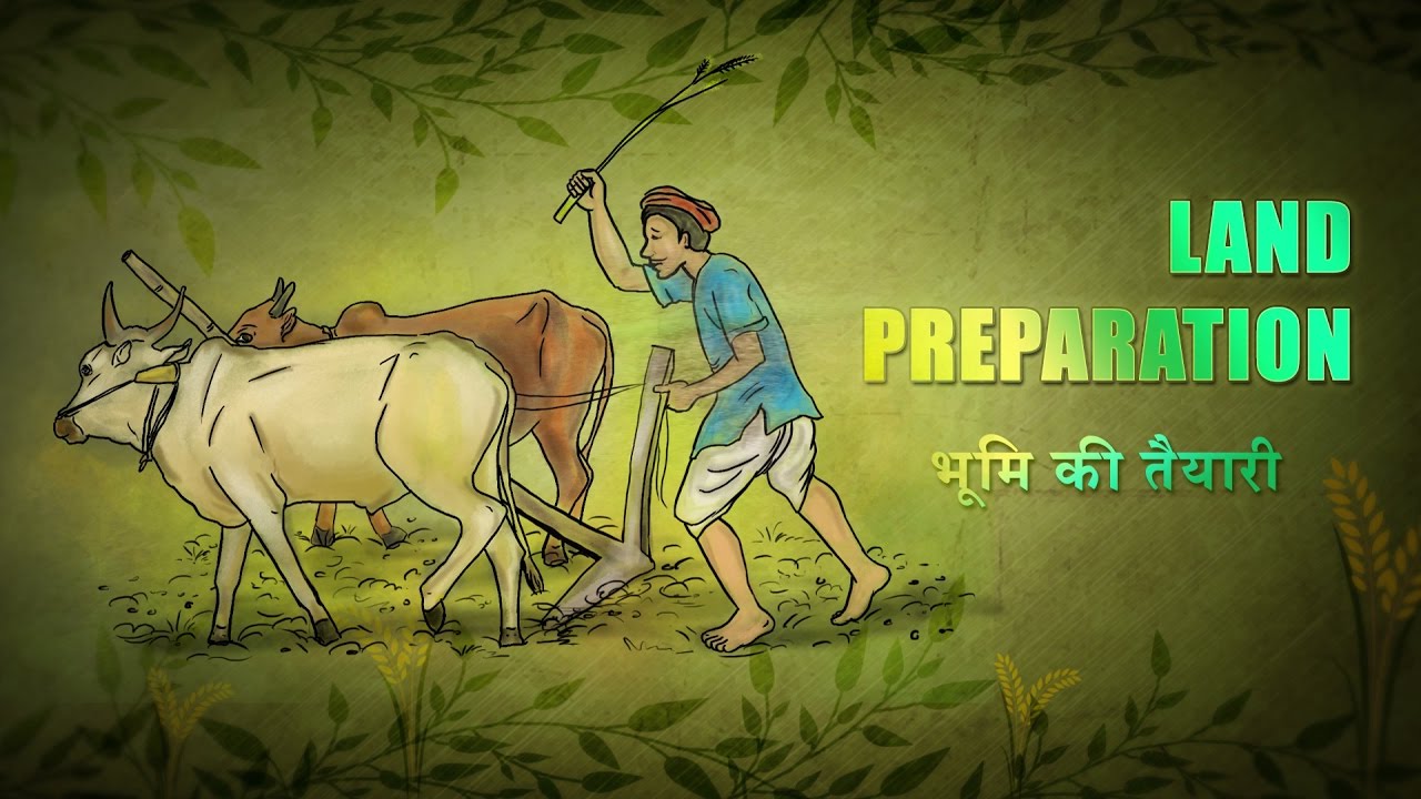 02-SRI-RICE | Land Preparation - YouTube