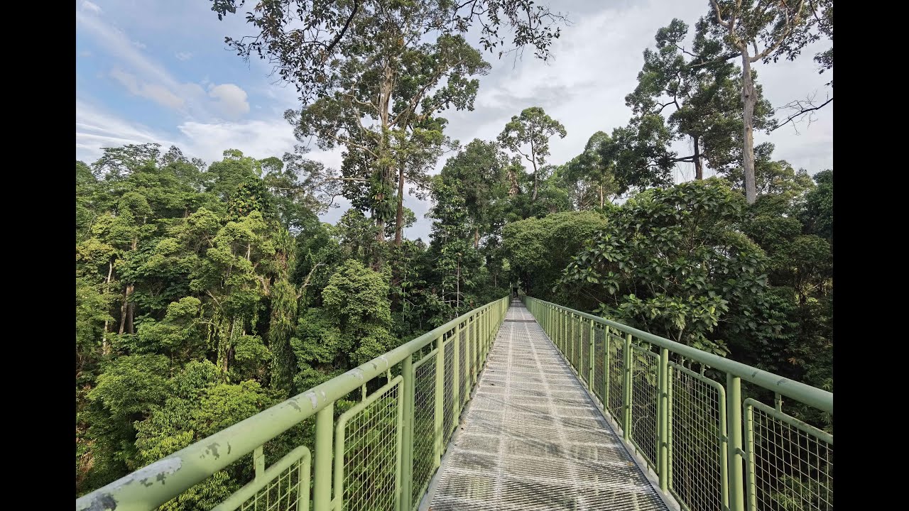 RDC Sepilok Sandakan, Sabah. Malaysia - YouTube