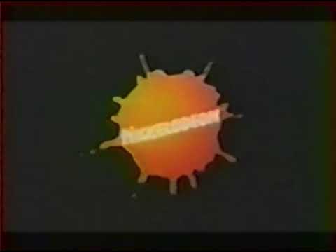 Nickelodeon The SpongeBob SquarePants Movie Promo 2006 2007 Is The ...