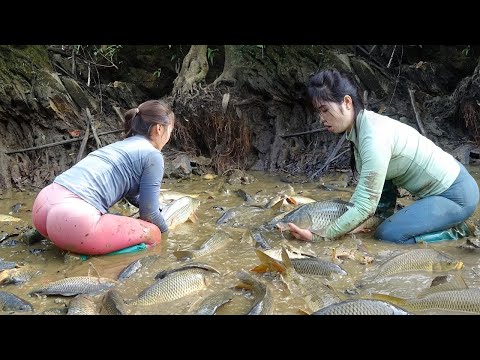 Amazing fishing: The girls' spectacular fishing performance, catching many fish in the small puddles