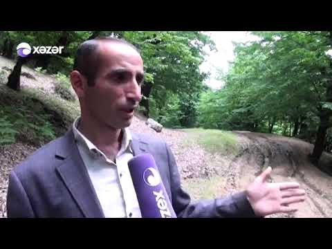 Lerikin Bobla kəndində keçirilən toy böyük maraq doğurub
