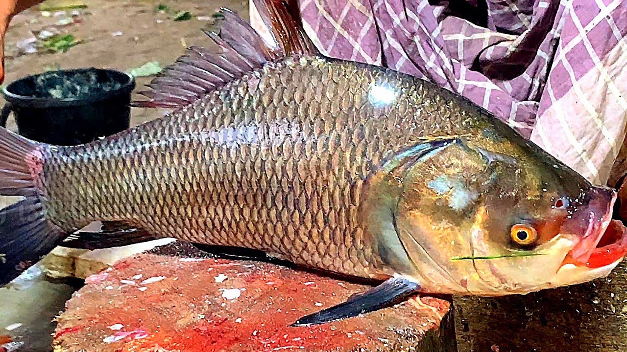 Alive Giant Catla Carp Fish Cutting Skills | Amazing Catla Carp Fish ...