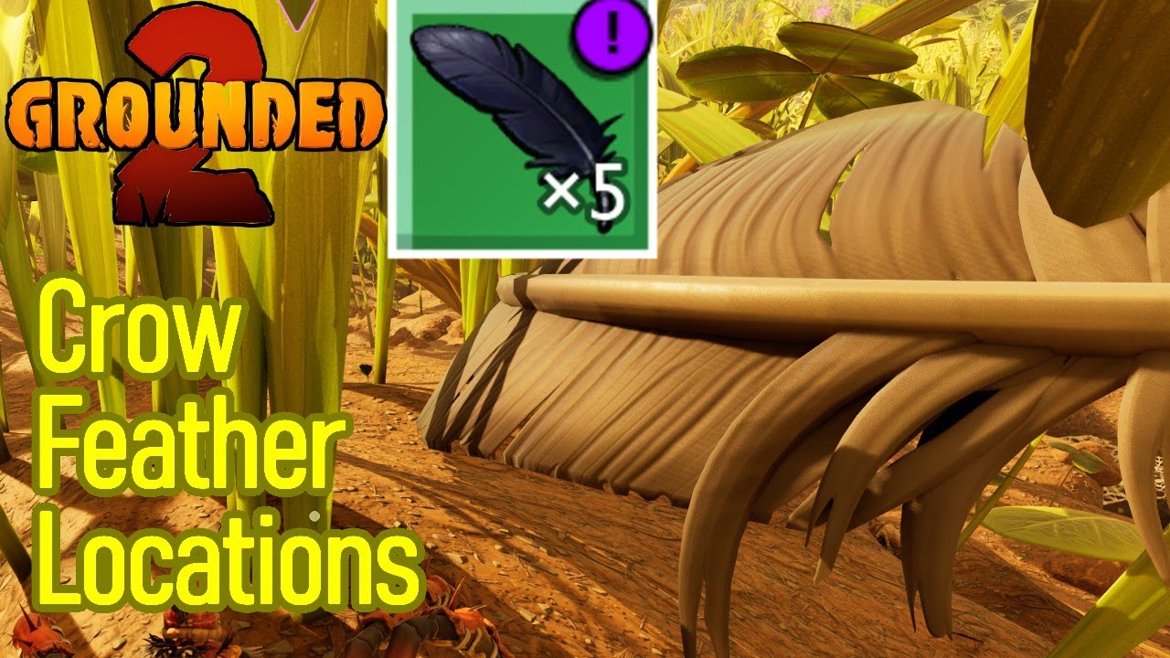 Grounded 2 crow feather piece locations, how to get crow feathers - YouTube