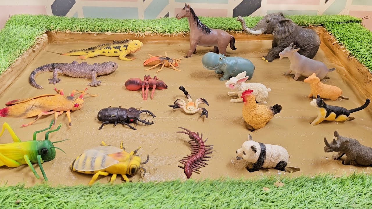 Farm Animals Vs Insects Expedition: An Epic Showdown Between Animals ...