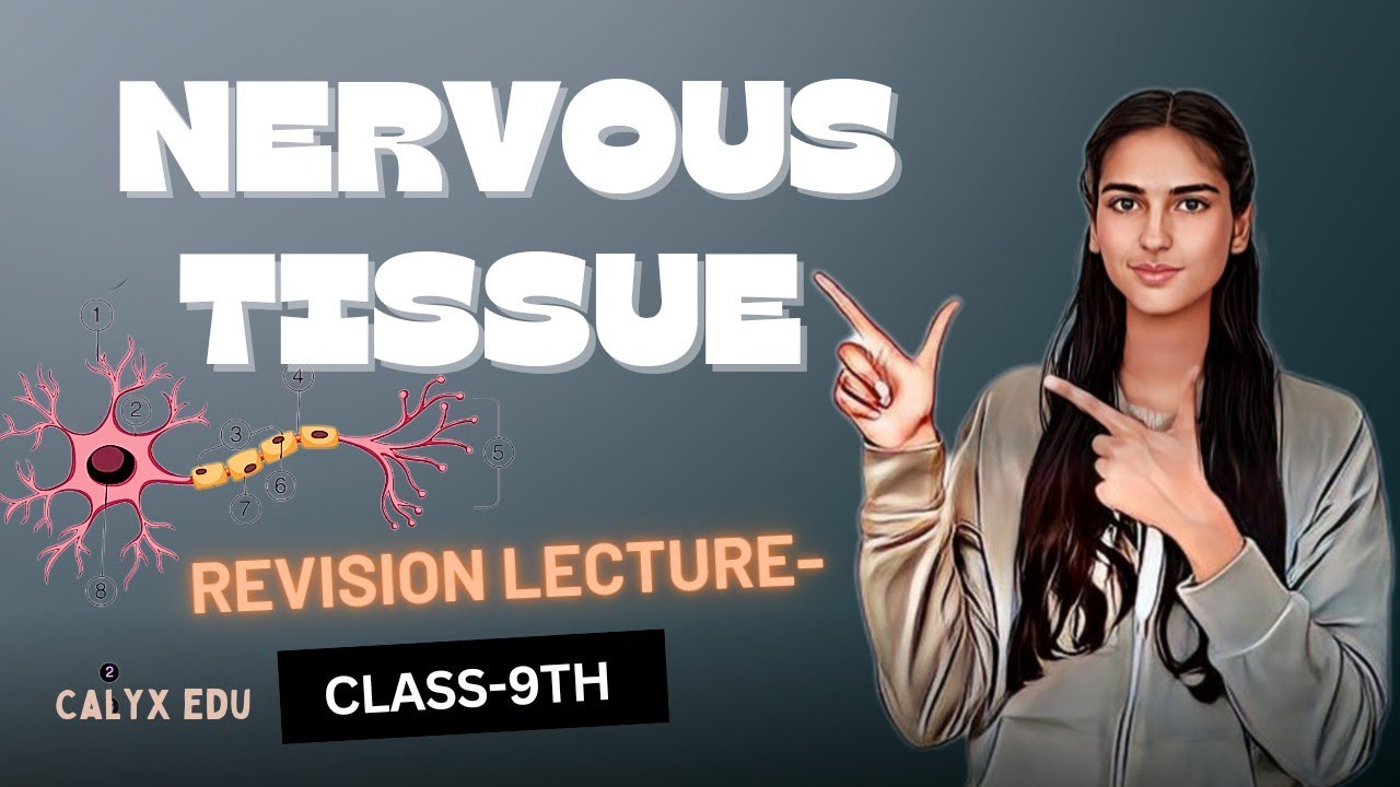 Revision lecture- nervous tissue class 9th |#NCERTbiology. @calyxedu ...