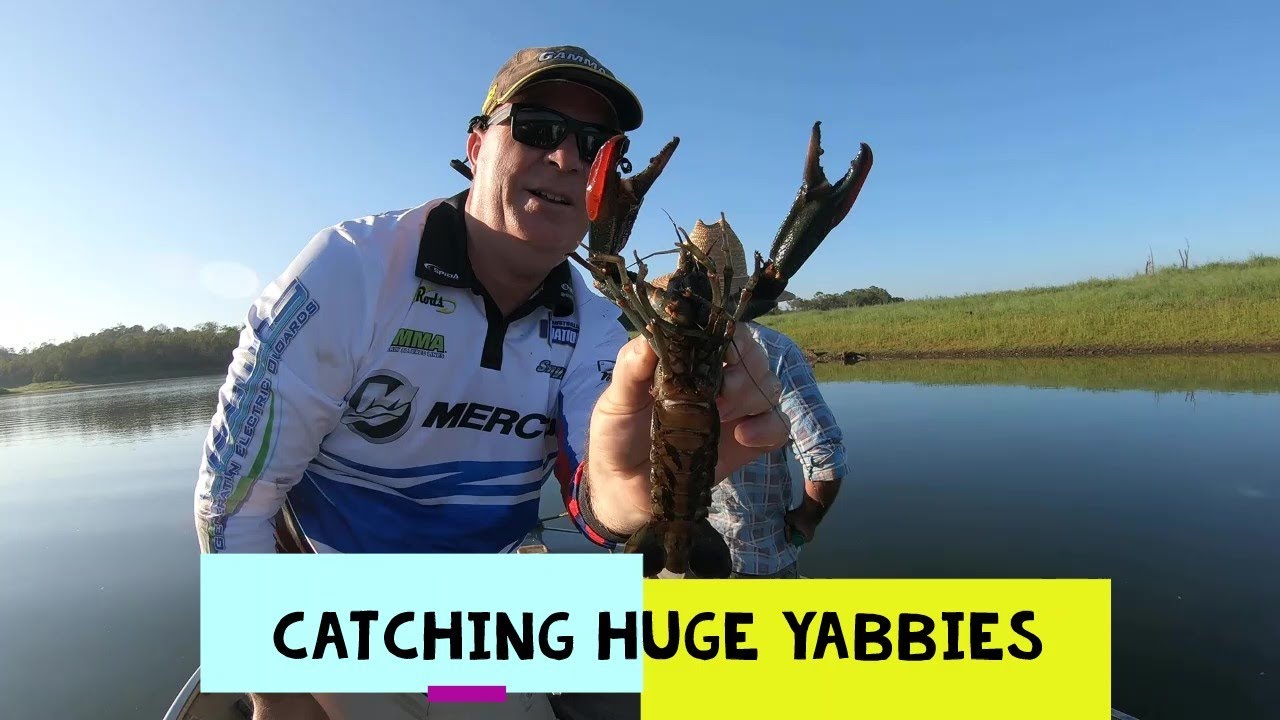 CATCHING MASSIVE YABBIES REDCLAW QUEENSLAND CATCHING RED CLAW BIG ...