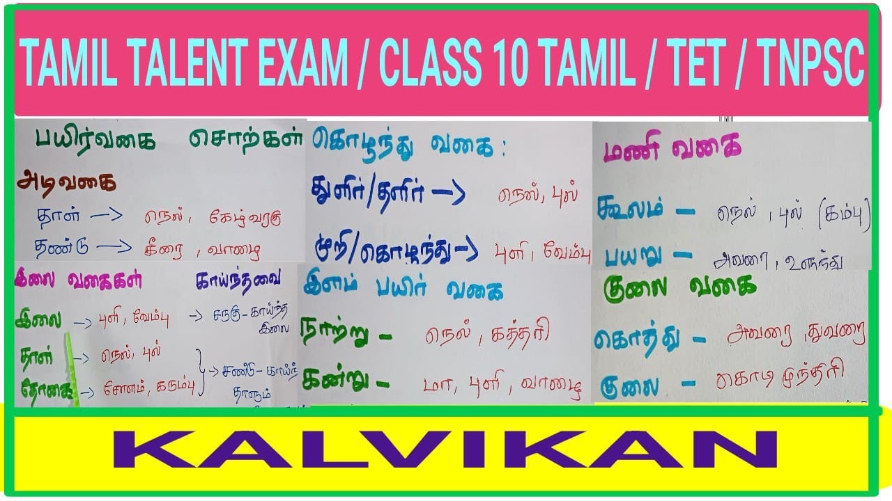 Tamil Talent Exam Class 11 / TET Exam 2025 Questions / Class 10 Tamil ...