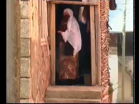 Baksı Müzesi Tanıtım Filmi