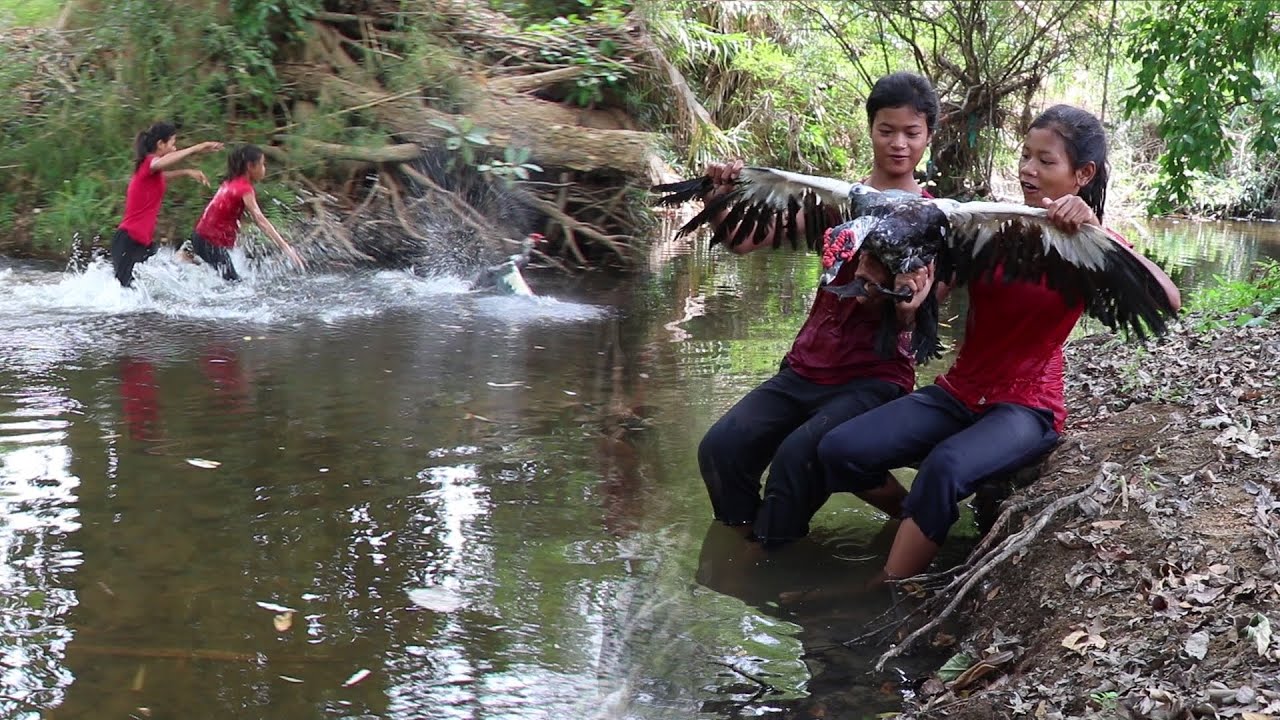 Catch Wild duck at River for Food - Cook Duck in The clay Eating ...