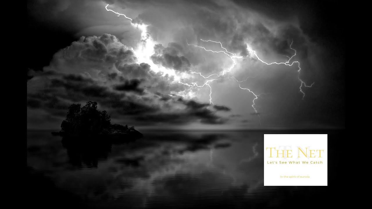 The Net (16): “True Infinity” Overcomes and the Philosophy Portal ...