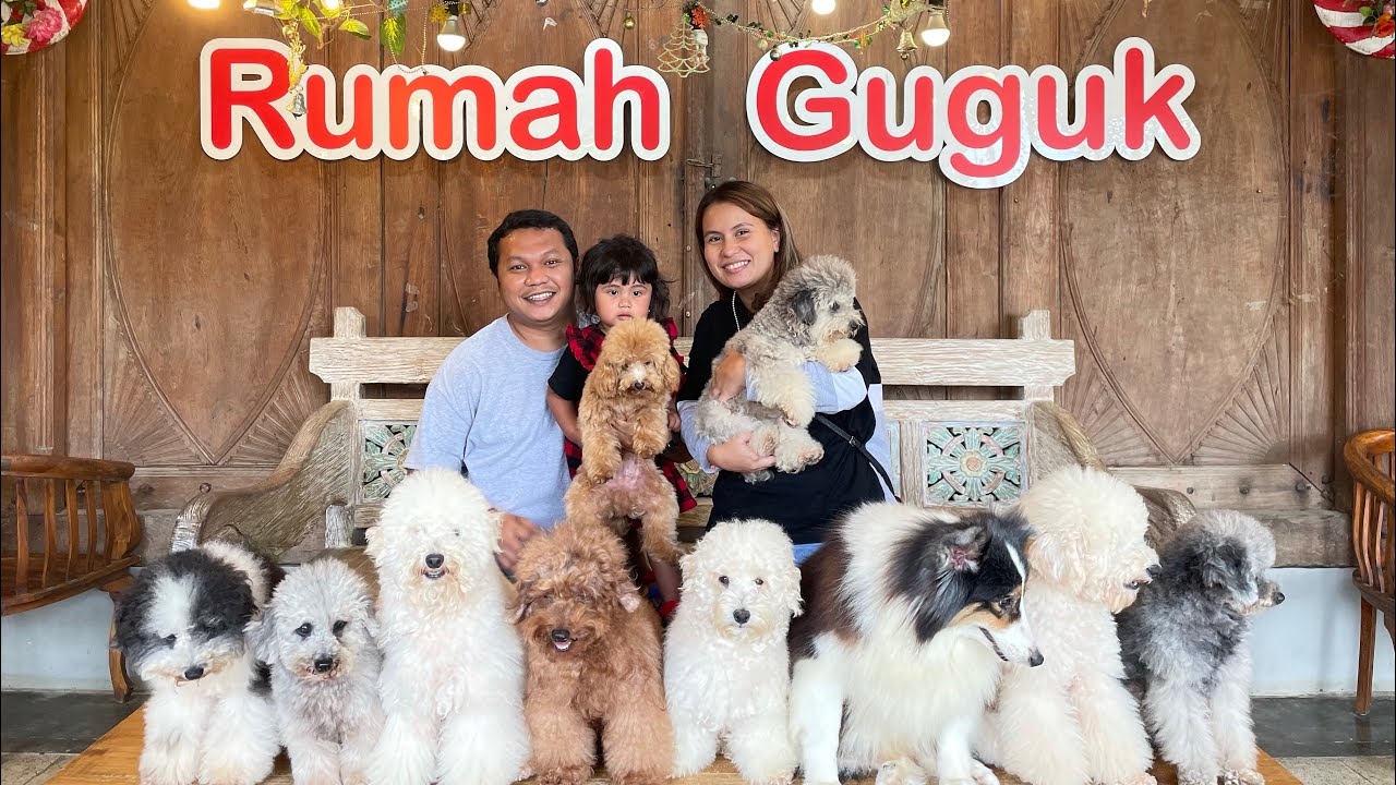 Rumah Guguk (Maret 2022) - YouTube