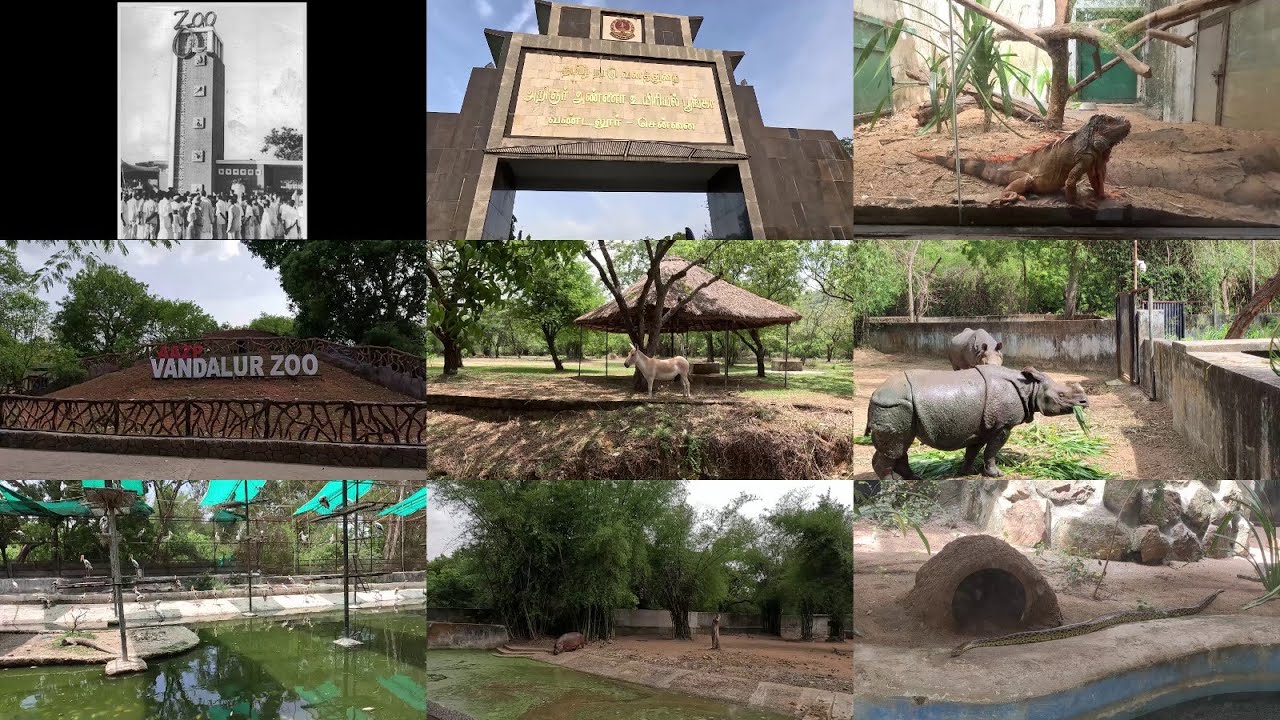 Vandalur Zoo | Arignar Anna Zoological Park | Chennai | 2024 - YouTube