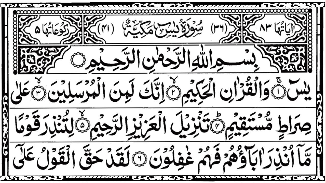 Surah Yasin - Mishary Rashed Alafasy - YouTube