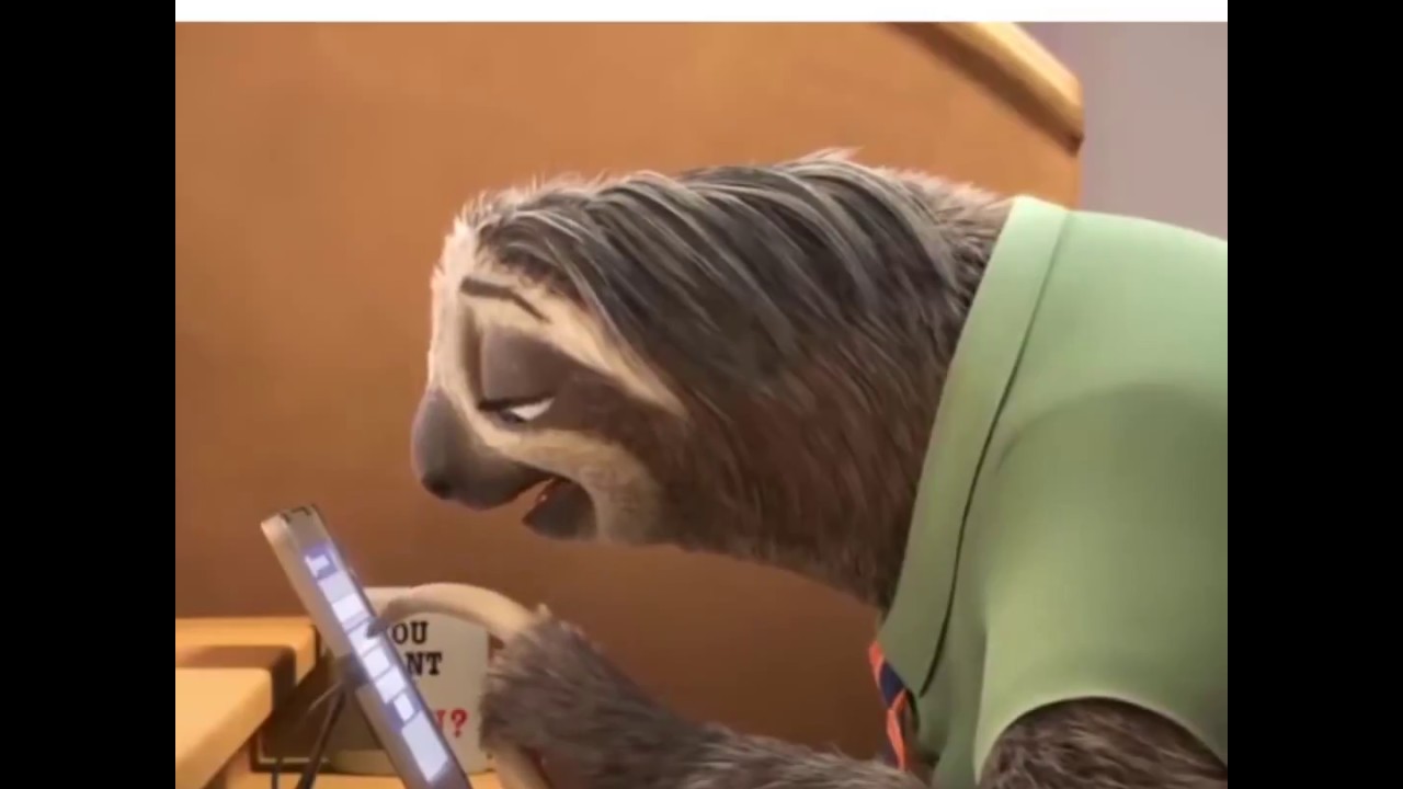 Sloth Texting - YouTube