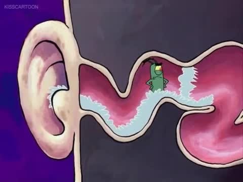 SpongeBob SquarePants S10E25B Salsa Imbecilicus - YouTube