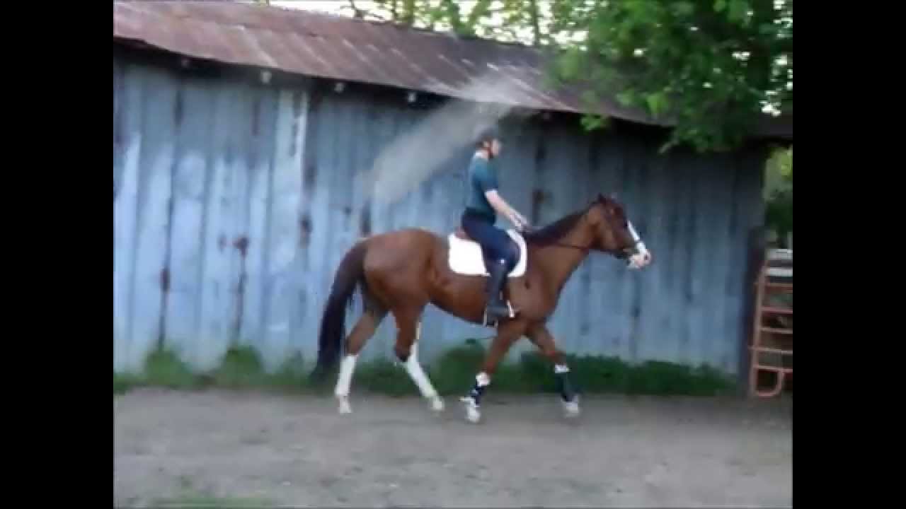 Declan 5 4 14 first ride - YouTube