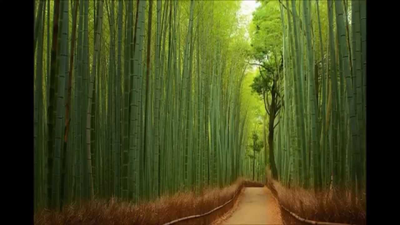 Unbelievable Places That Are Hard To Believe Really Exist HD 2014 YouTube unbelievable-places-that-are-hard-to-believe-really-exist-hd-2014-youtube