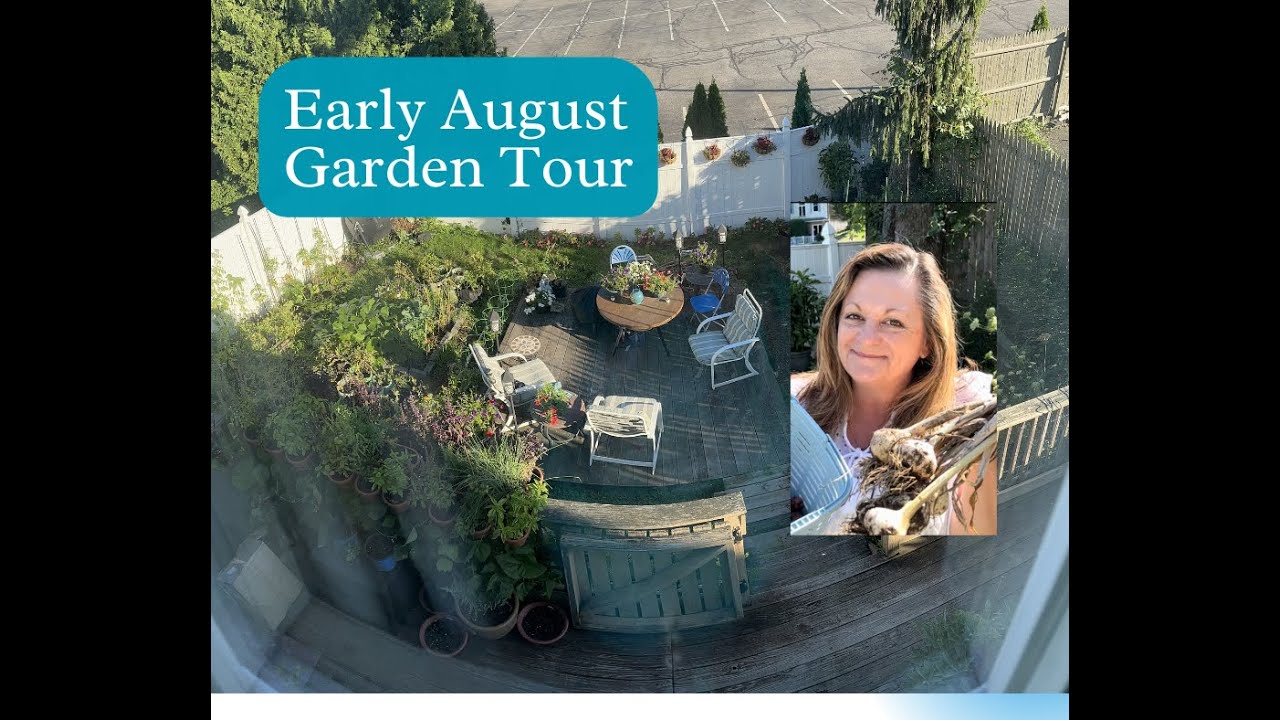Early August Garden Tour 2023 - YouTube
