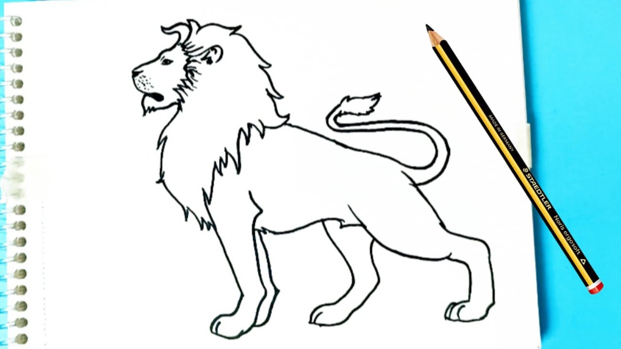 Lion Drawing - How to Draw a Lion Picture Easy - Drawing an Animal ...