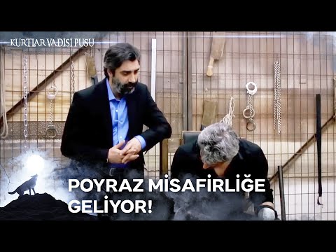 Tüm Yetki Sende Polat! | Kurtlar Vadisi Pusu 194. Bölüm