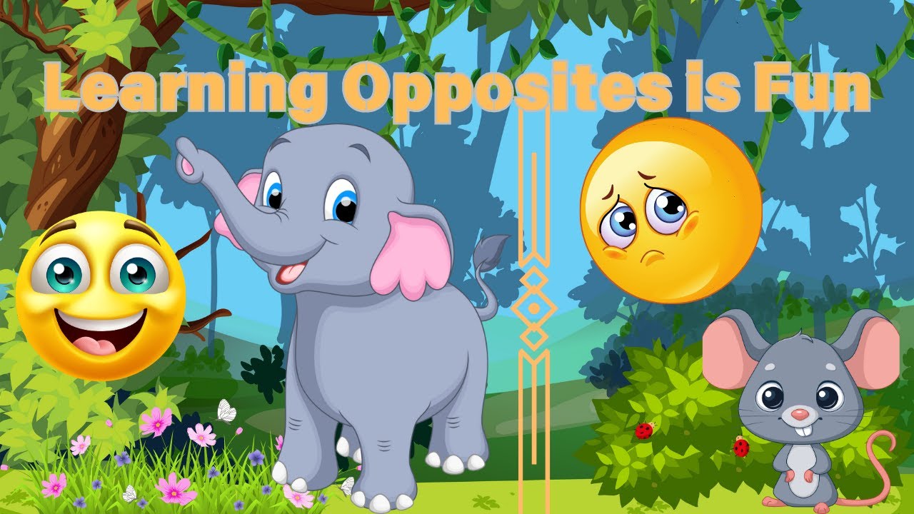 Learning Opposites Is Fun!|Educational Video for Preschoolers ...